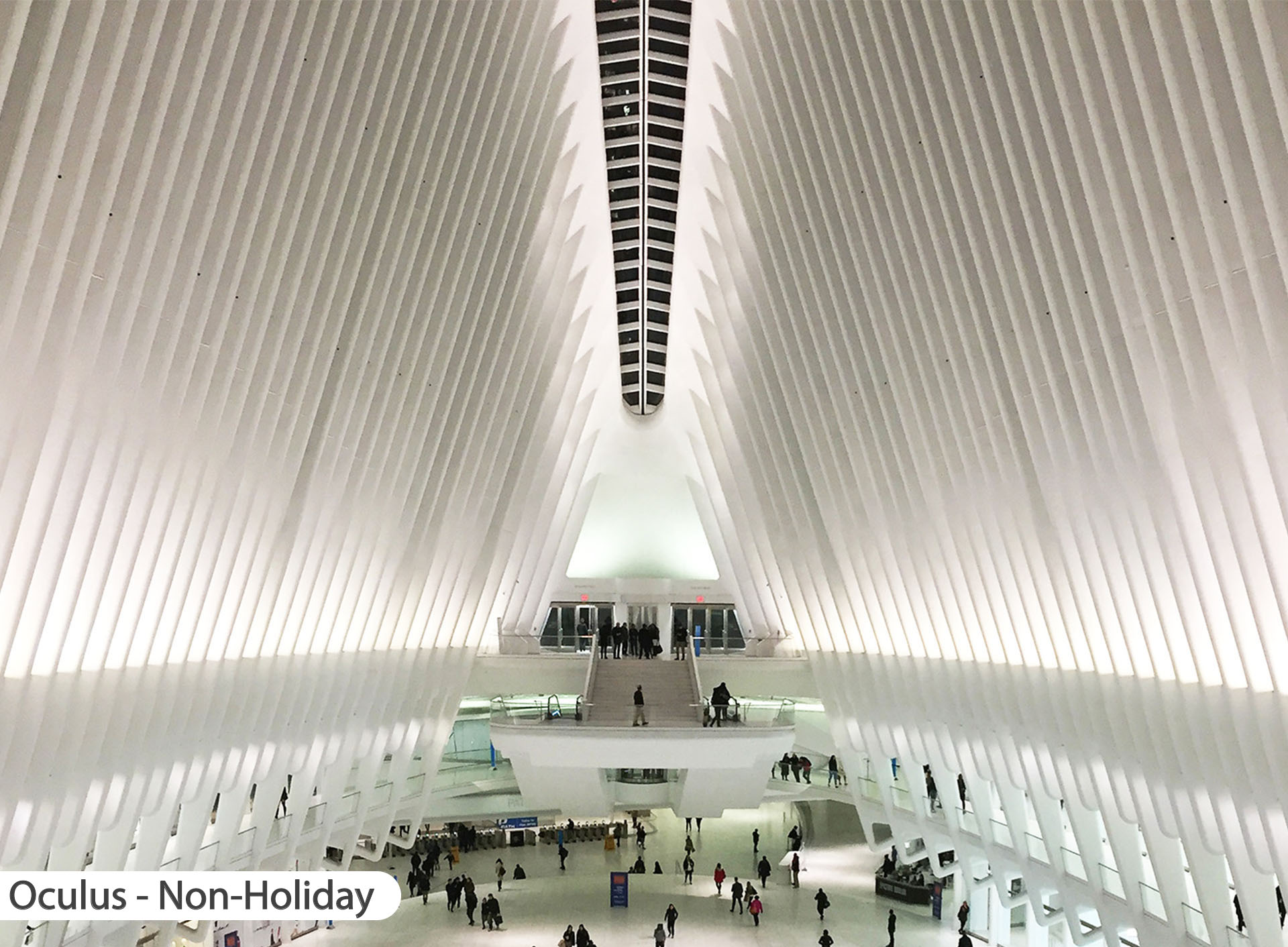 Oculus – World Trade Center Complex – NYC Port Authority Transportation ...